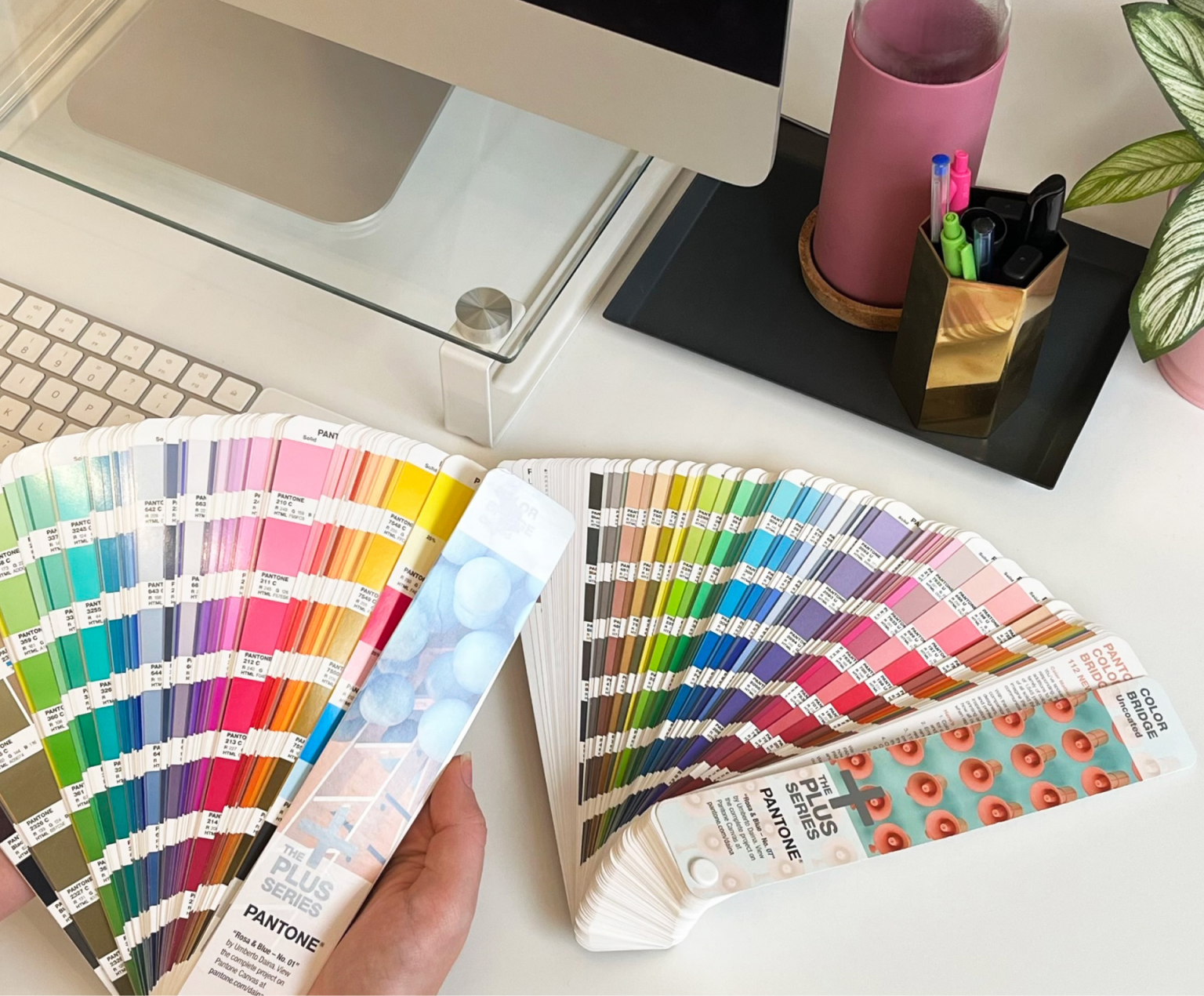 3 pasos para crear la paleta de colores perfecta para tus diseños ...
